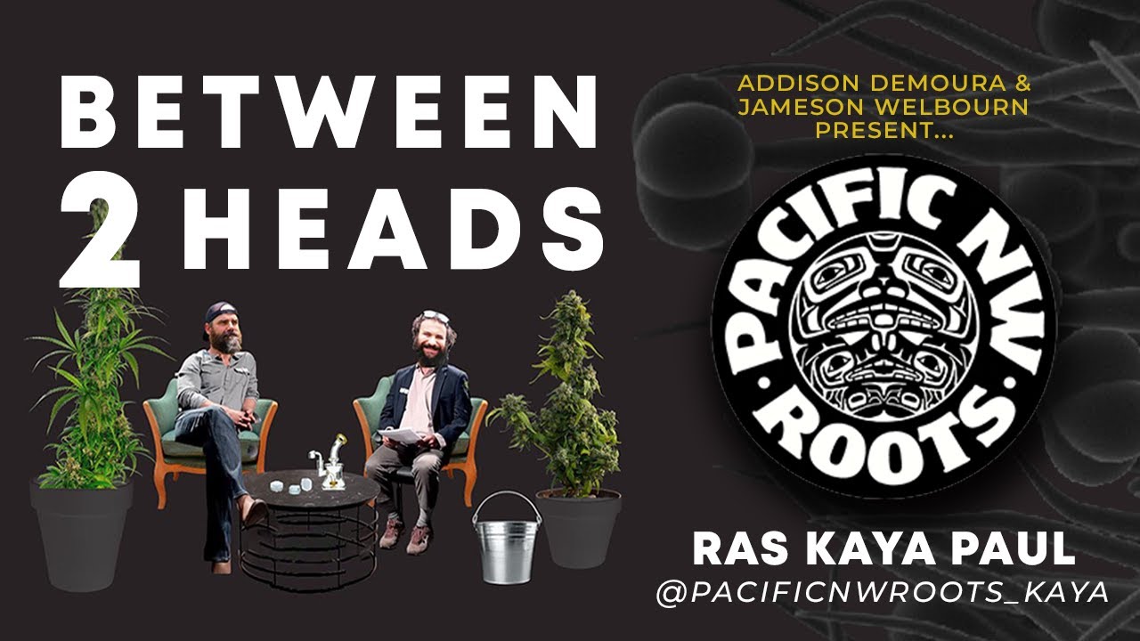 Between2Heads - Episode 15 - Ras Kaya of PacificNwRoots - YouTube