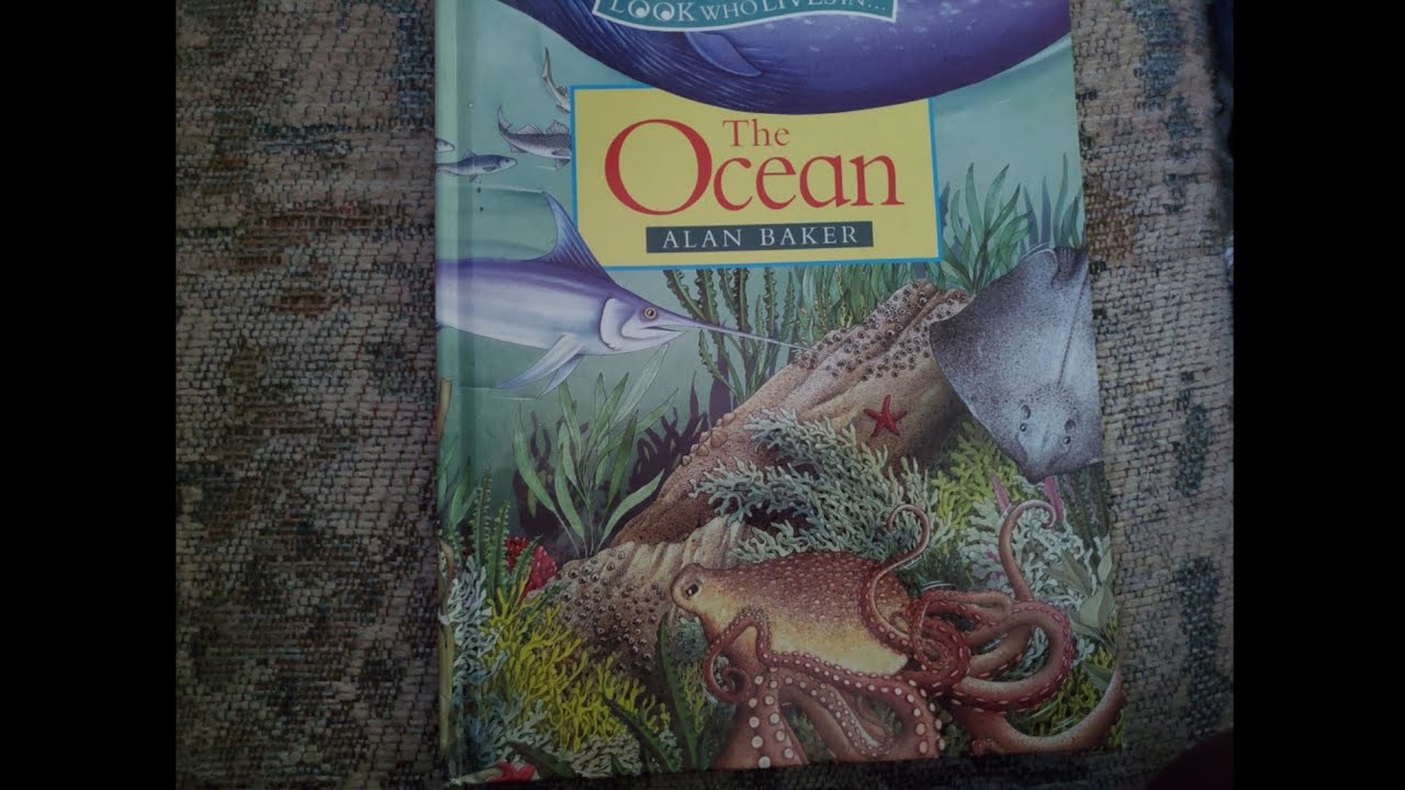 The Ocean- Read Aloud by Goofy Ruby - YouTube