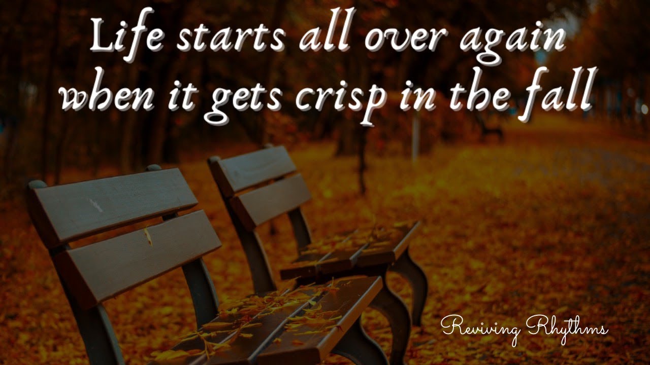 Relaxing, Stunning Autumn Fall with Calm Hip-Hop Music. Enjoy The ...