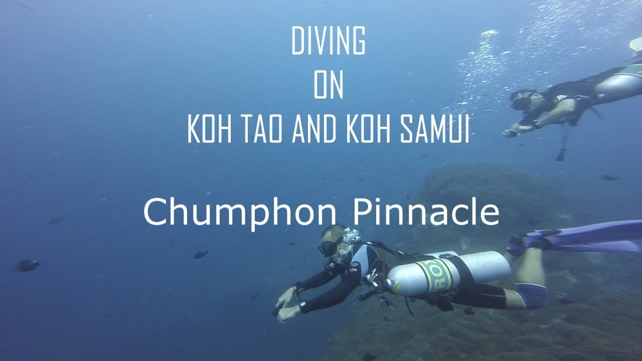 Diving on Koh Tao - dive site Chumphon Pinnacle - YouTube