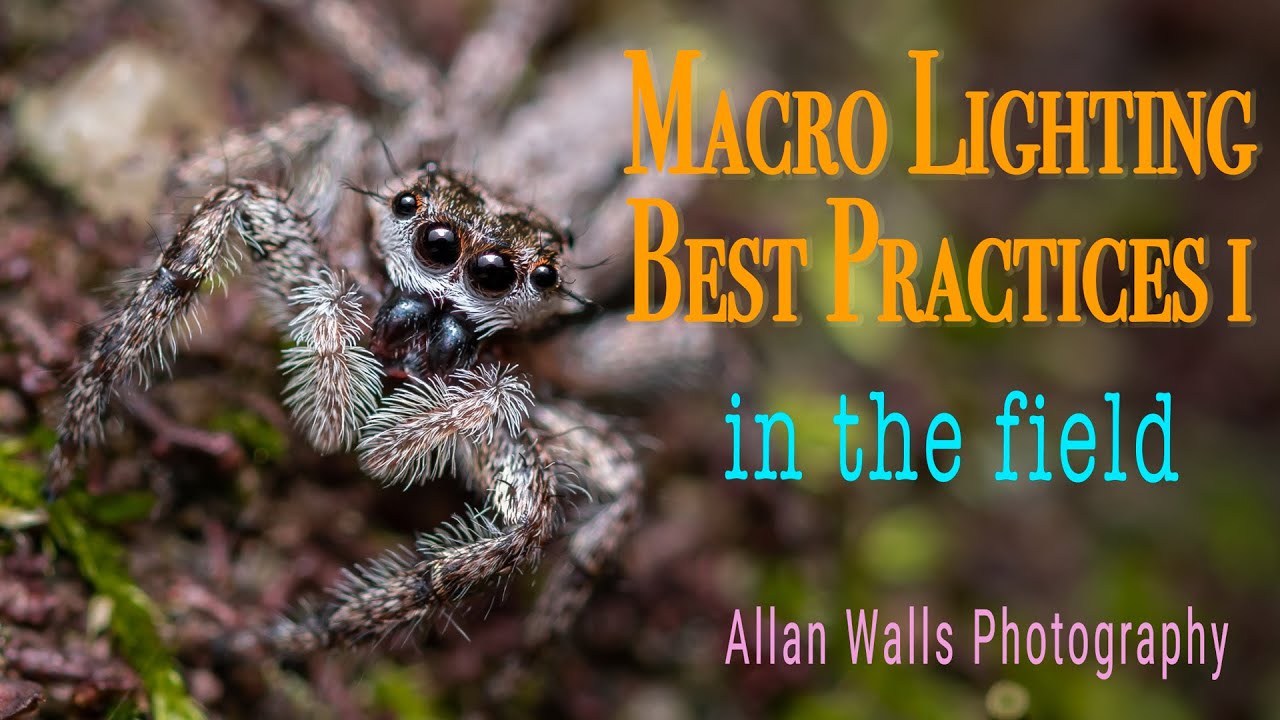 Macro Lighting Best Practices I - in the field - YouTube