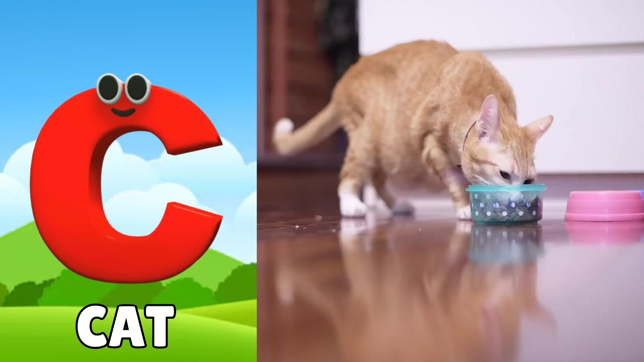 Abc Song | Abc Phonics Song | Phonics Song For Toddlers | Alphabet Song ...