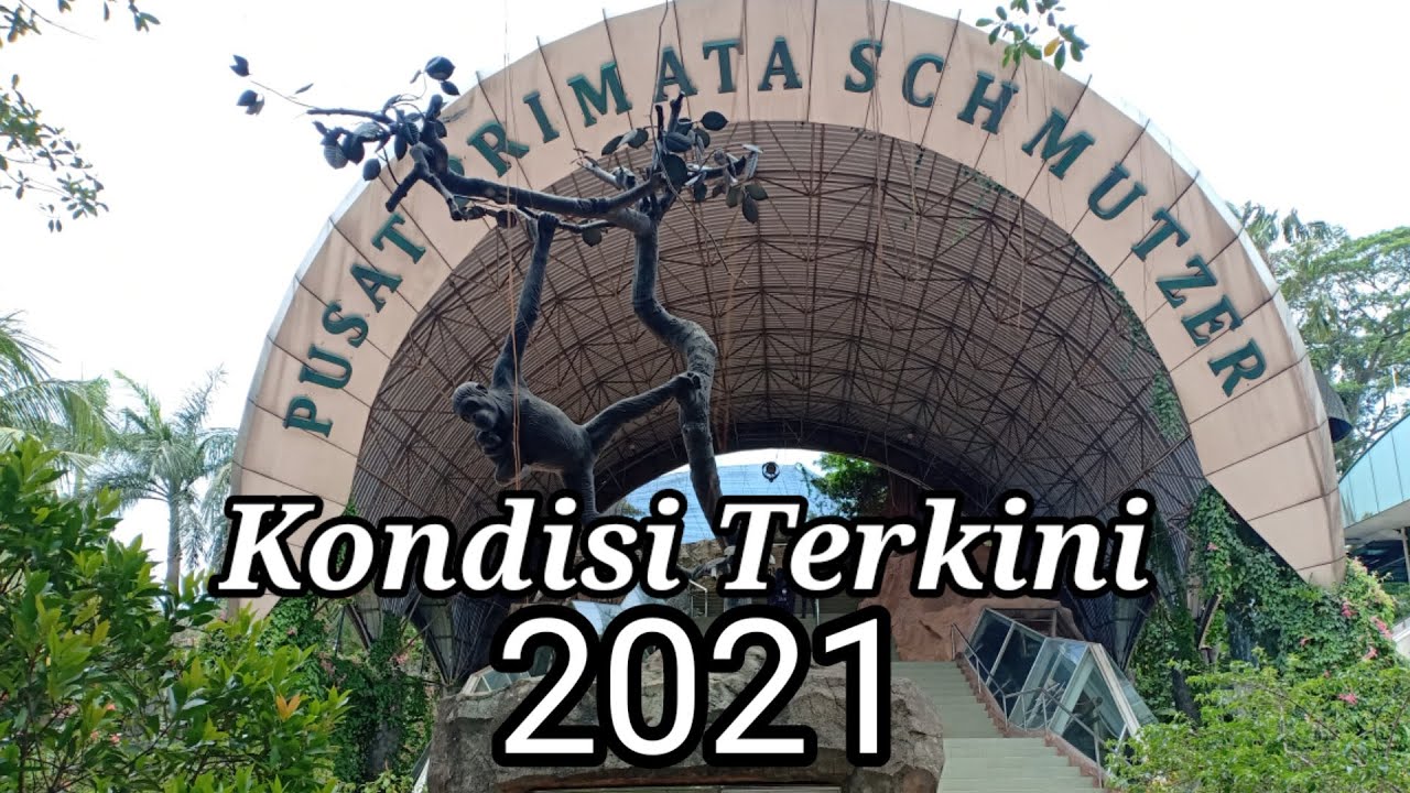 Jalan Jalan Melulu Wisata PUSAT PRIMATA SCHMUTZER RAGUNAN Terkimi 2021 ...