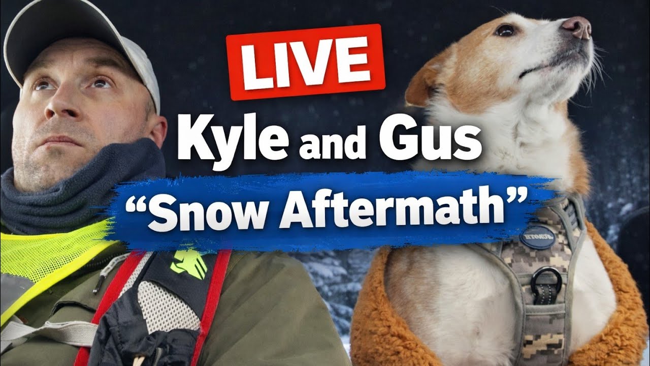 Snow Aftermath with Kyle and Gus ️ - YouTube