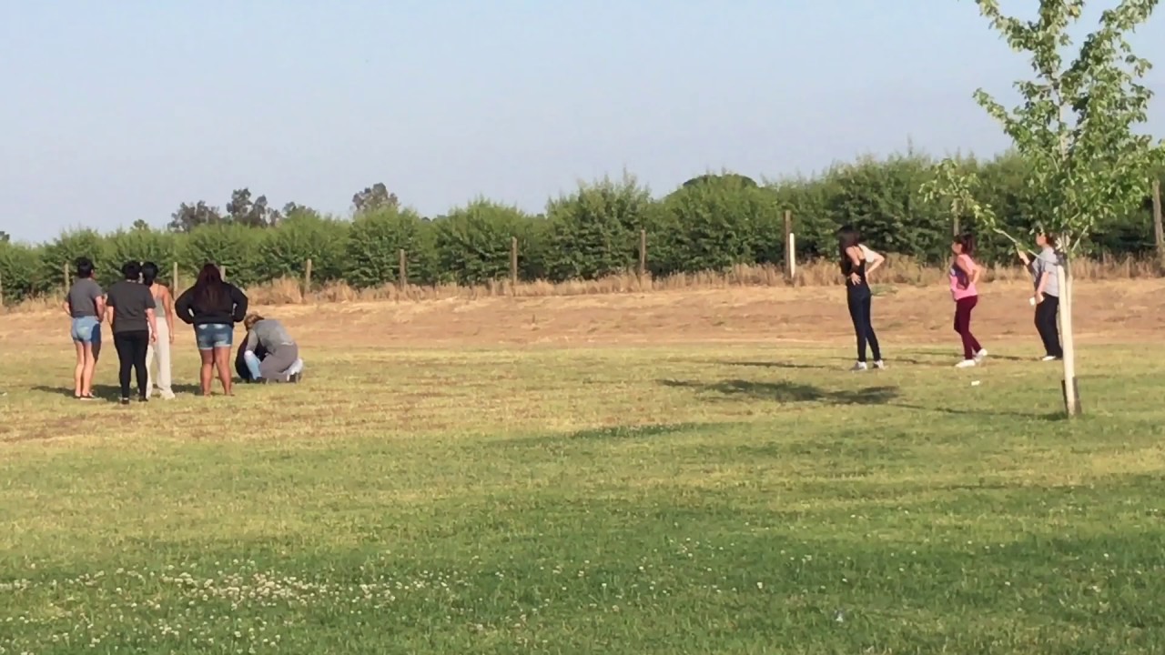 Madera 559 fights - YouTube