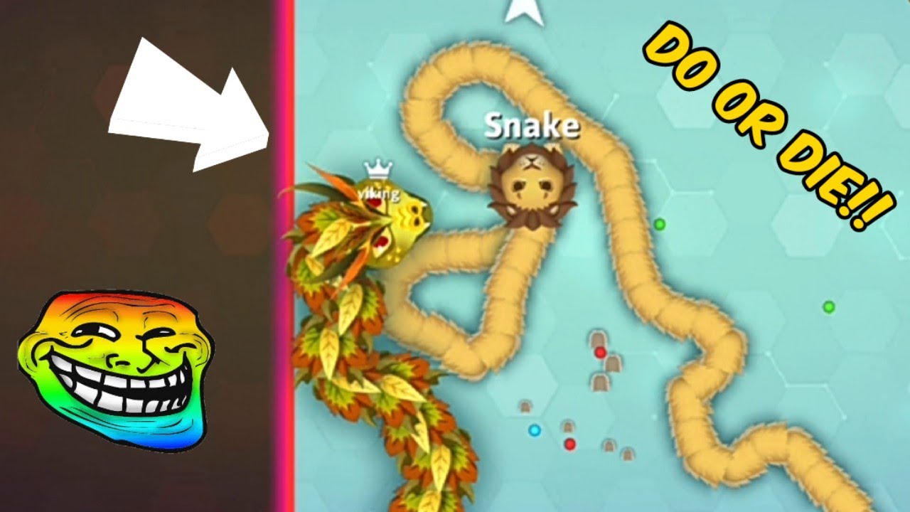 Top 3 Giant Snakes Died Like A Noob In Snake. Io! - YouTube