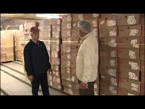 Marc Glassman, Owner of Marcs, Visits the Rold Gold Pretzel plant - YouTube