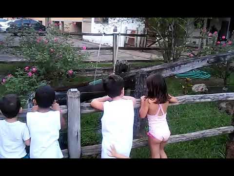 Moxuara Pedro e Sofia - YouTube