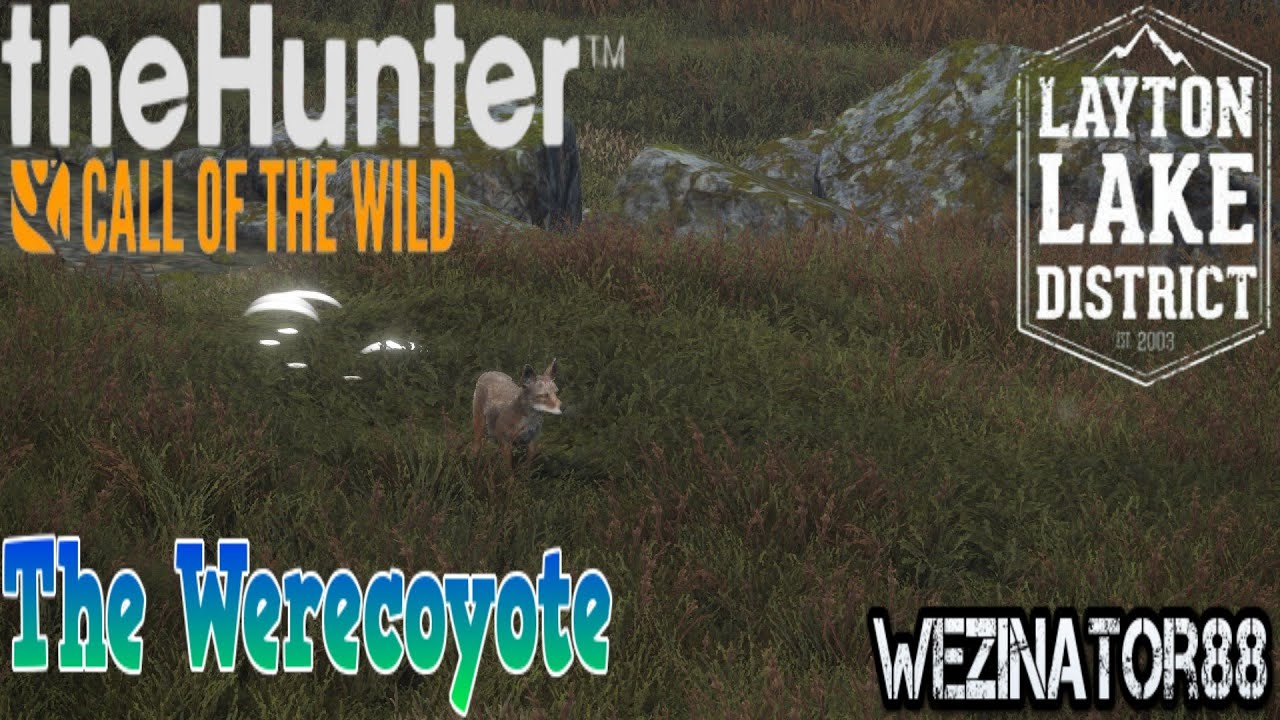 The Werecoyote - The Hunter: Call Of The Wild - YouTube