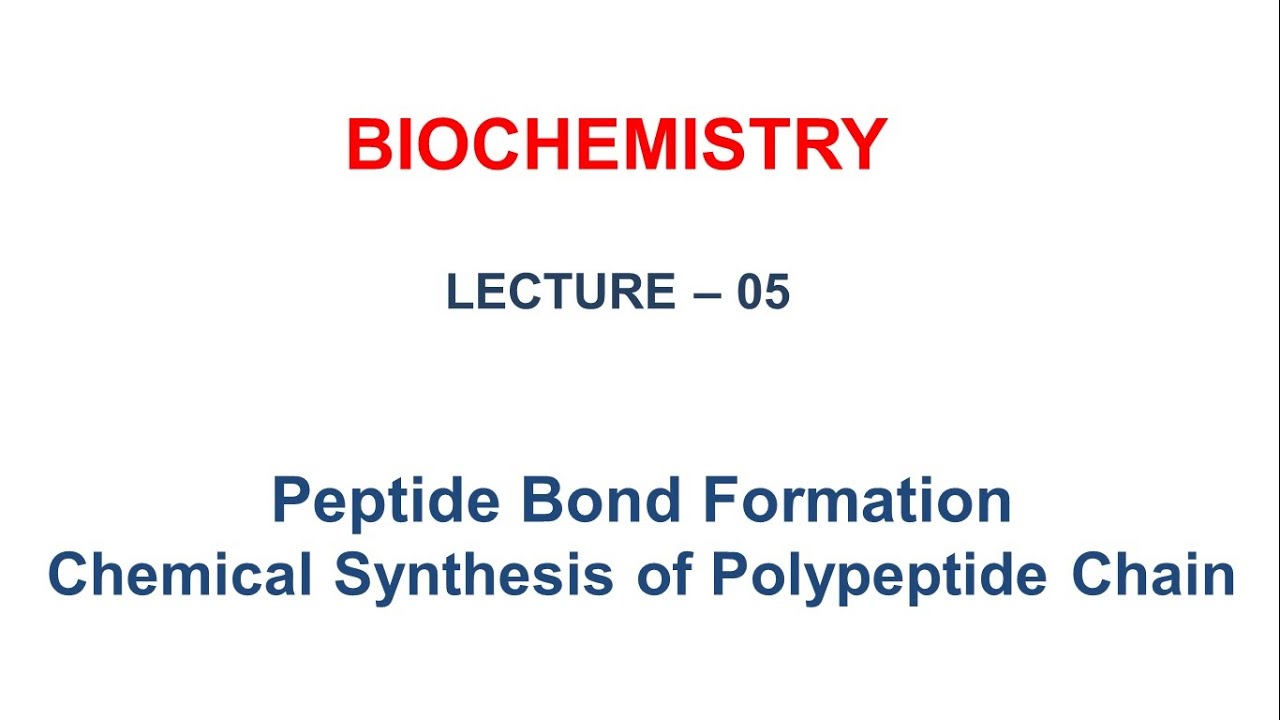 LEC 5 - Peptide Bond Formation, Chemical Synthesis of Polypeptide Chain ...