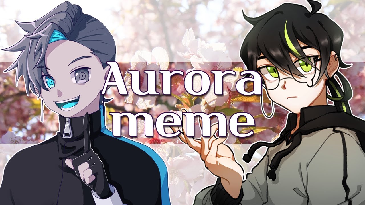Aurora meme [collab with 상아리] (aviutl) - YouTube