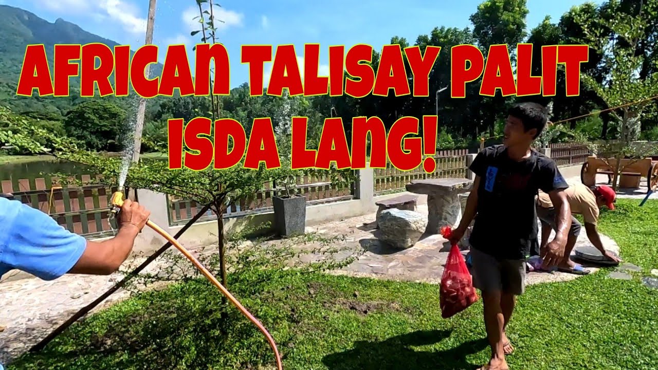 Landscapers na affordable na!mababait pa | Pinalitan nila ang namatay ...