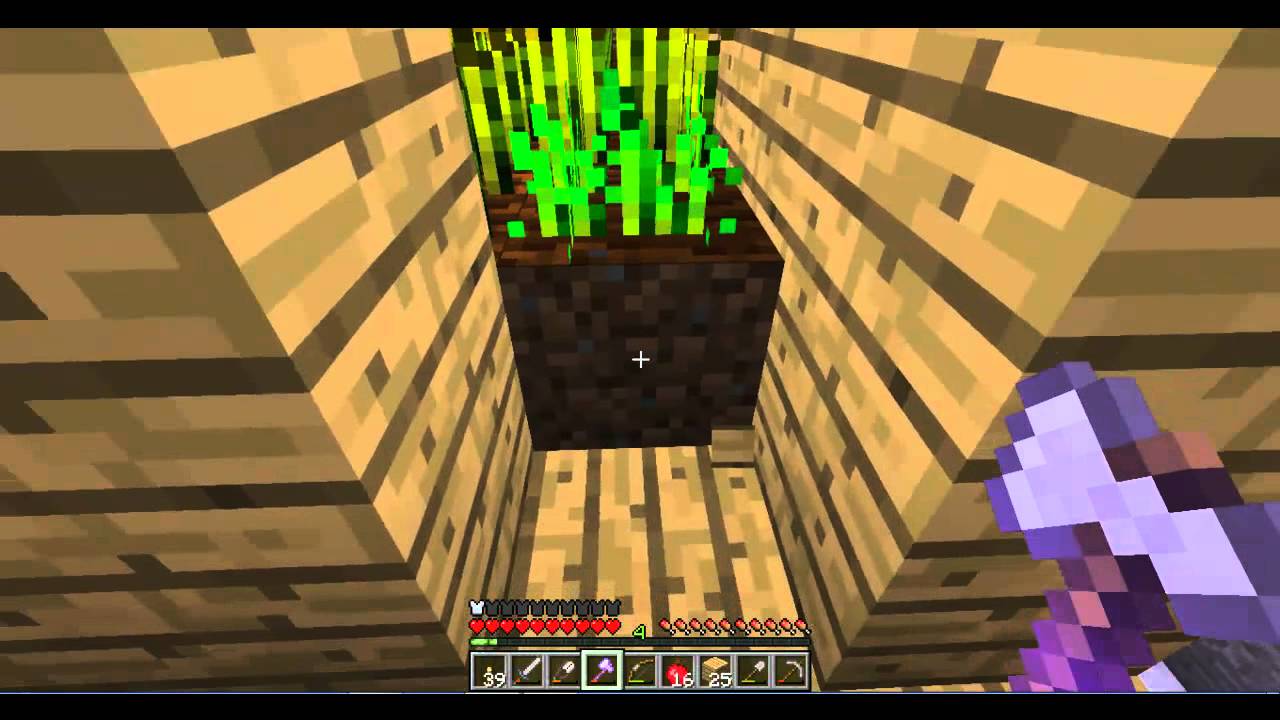 Hostile Trails Piglet Panic Episode 15 - YouTube