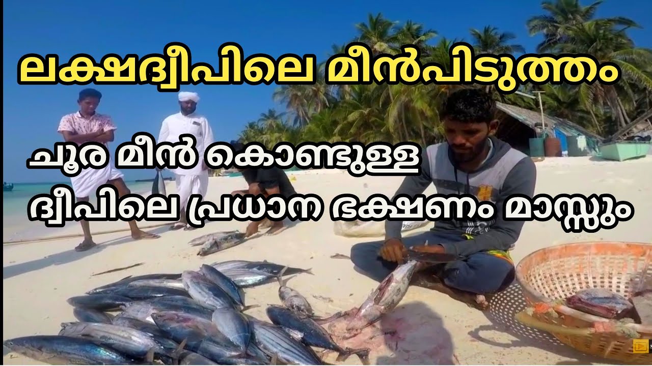 Tuna Fish Catching in The Deep Sea With Small Boat Amazing Tuna Fish ...