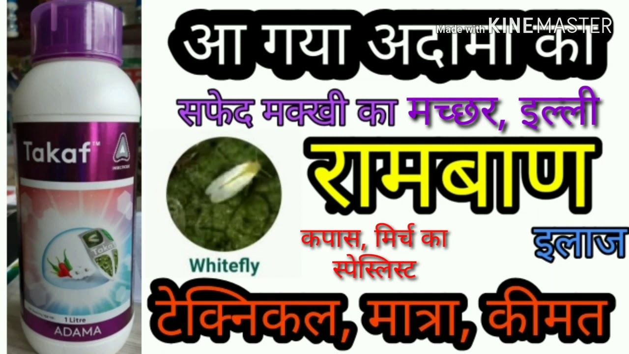 Ad- Takaf adama tacaf वि- टकाफ अडामा तकफ white fly thrips affid jassid ...