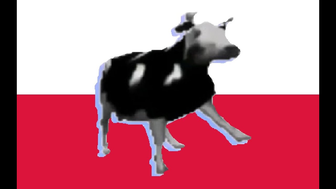 Dogmatik - Vaca Polaca (Polish Cow Hi-Tech Psytrance Remix) - YouTube