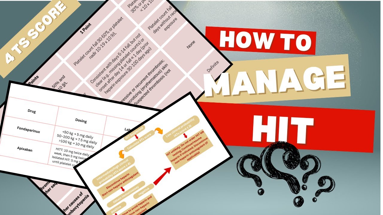 HIT kinds & how to manage them 4 TS SCORE - YouTube