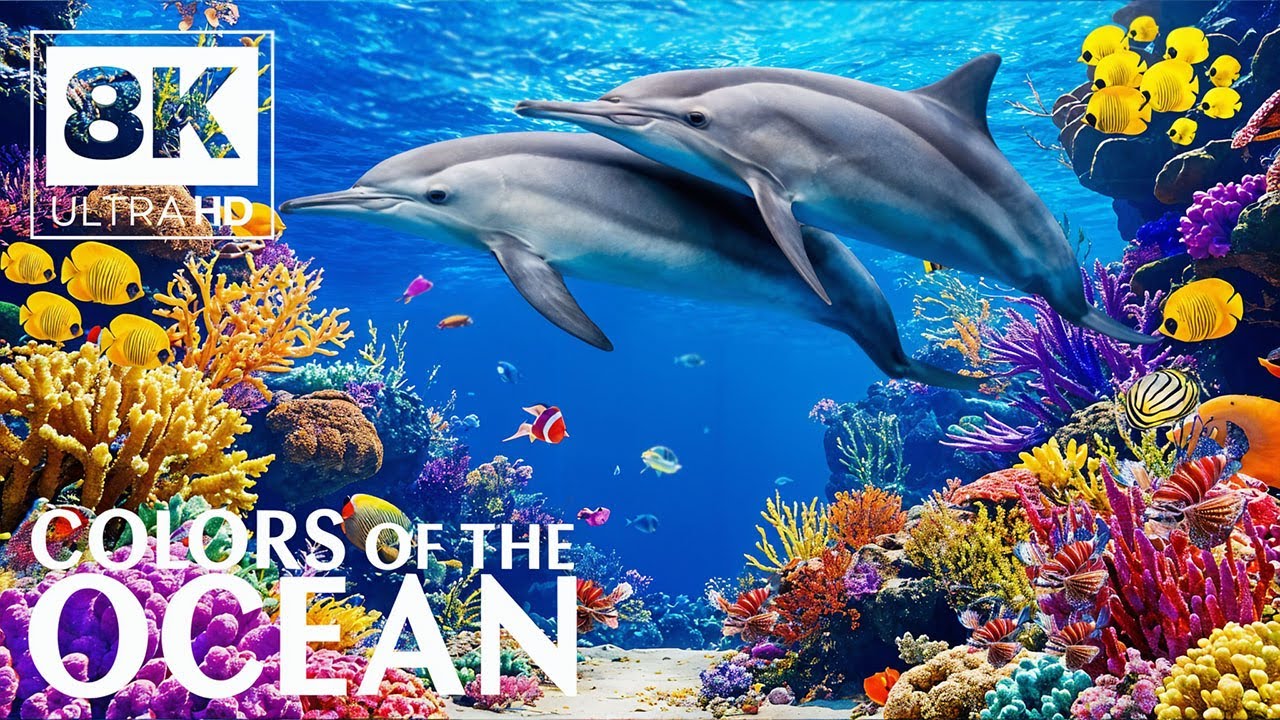 8K Underwater Magic VIDEO ULTRA HD 🐠 Vibrant Fish in a Peaceful Coral ...