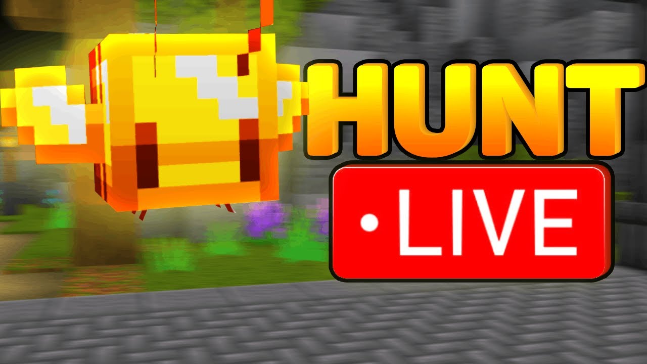 THE GOLDEN CUBEE HUNT | Hive | I Need Your Help....please - YouTube