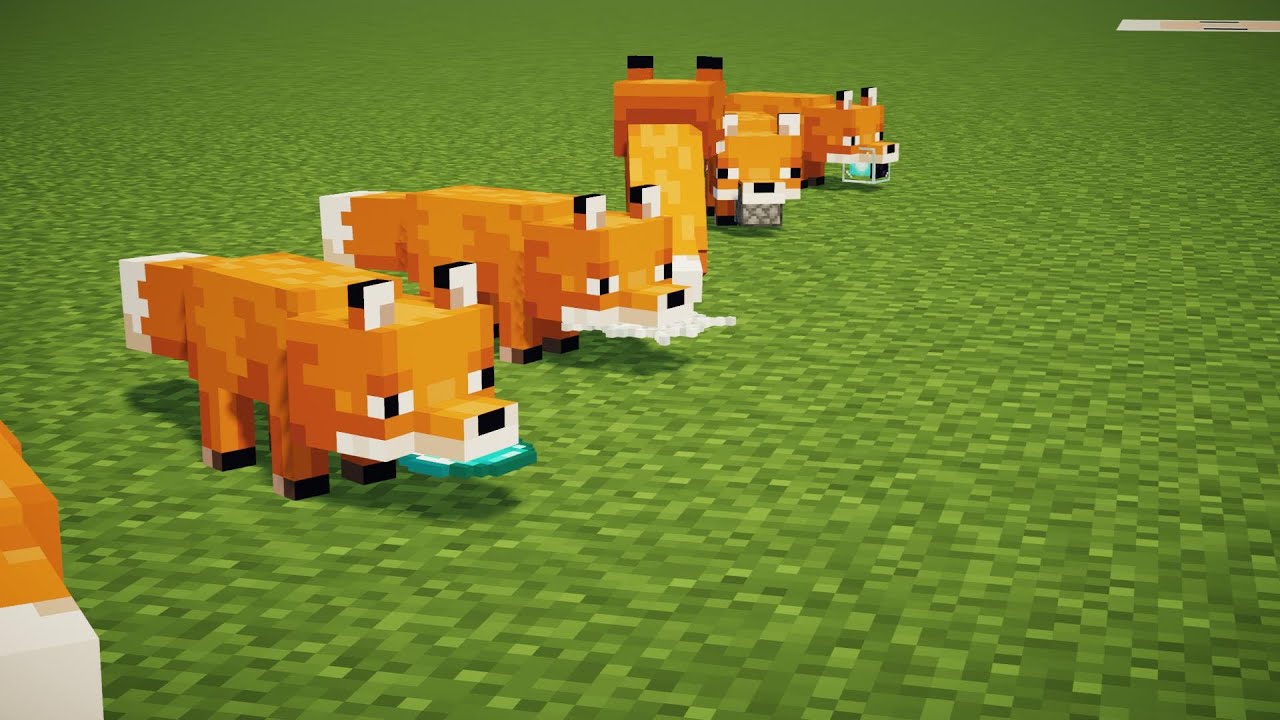 fox types in minecraft - YouTube