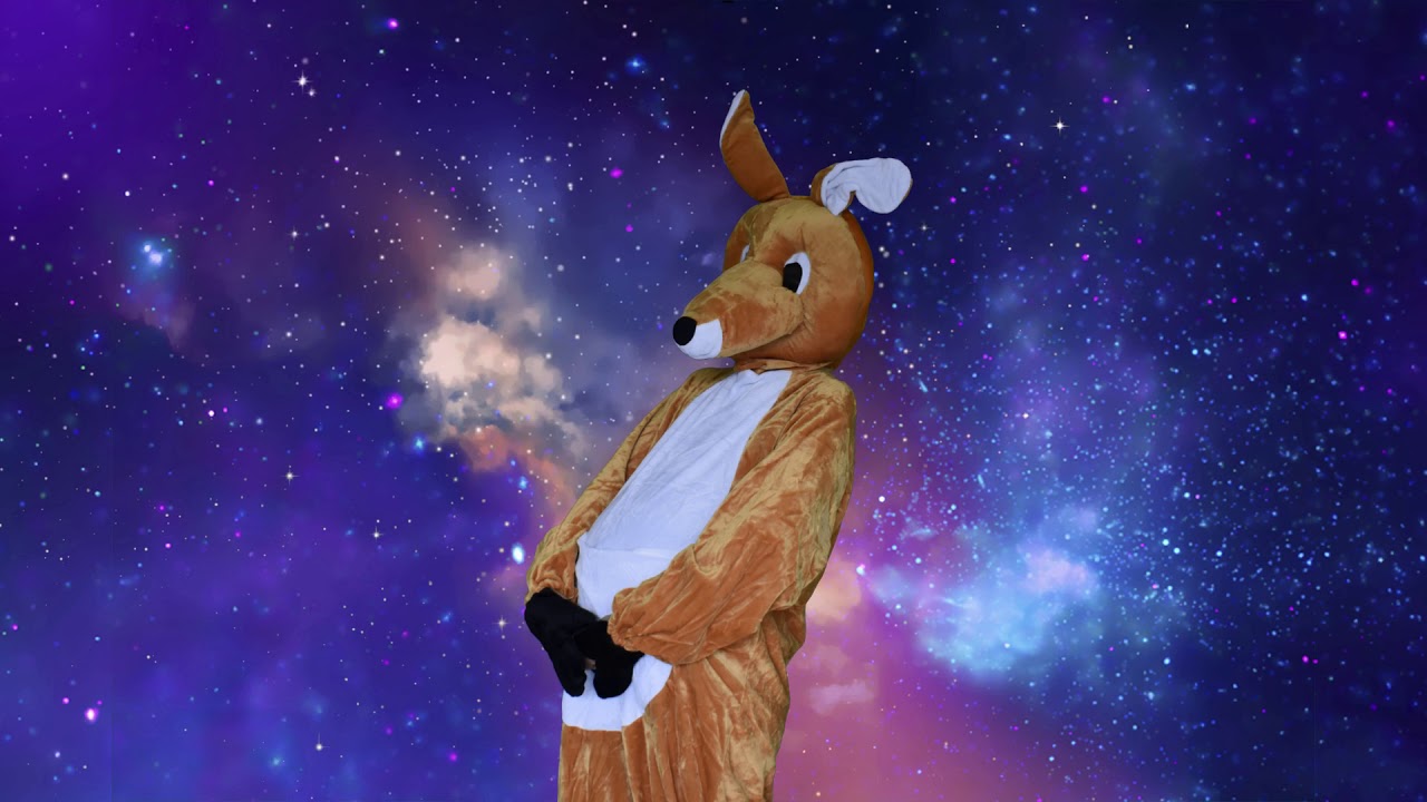 fat kangaroo tv - YouTube