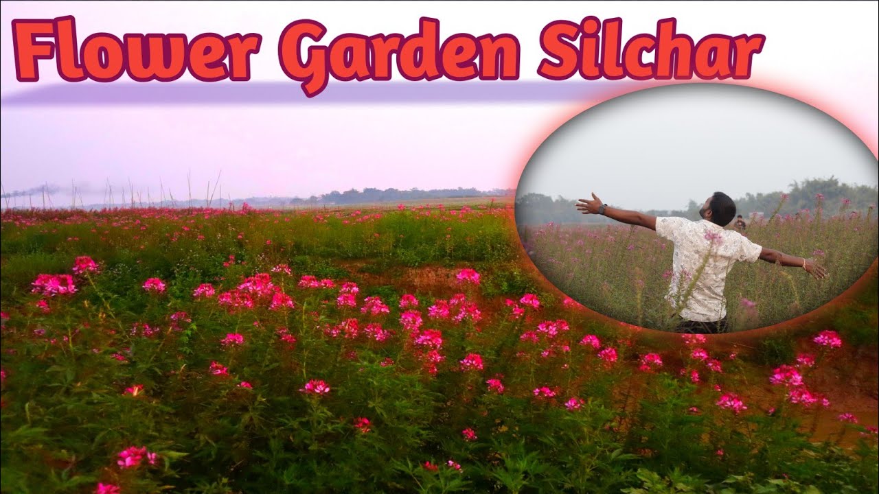 Flower Garden Silchar #dronevideo #viralflowergarden - YouTube