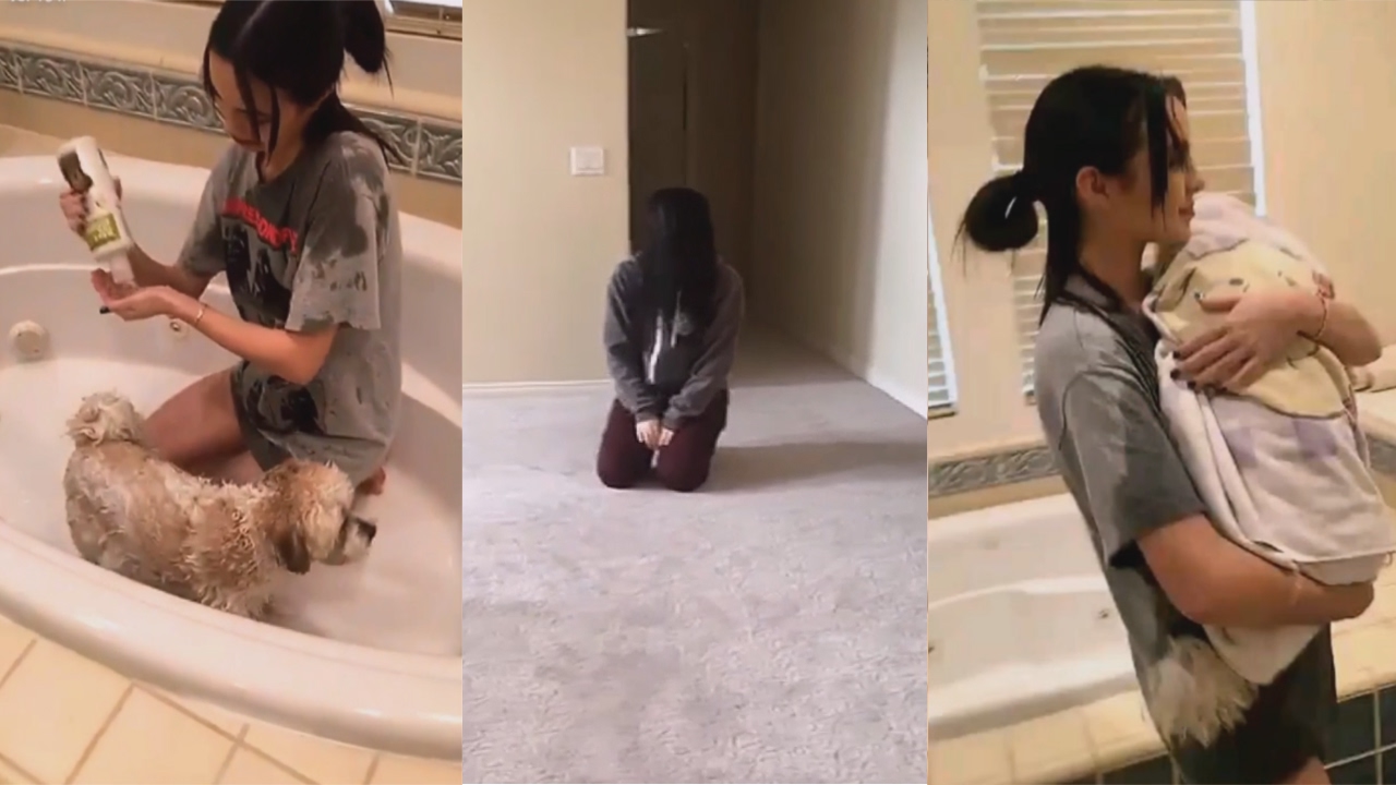 Merrell Twins | Giving Tiger a Bath | Snapchat - YouTube