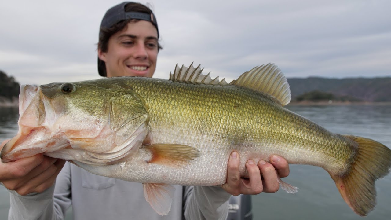 THREE PB BASS Broken in ONE DAY! - YouTube