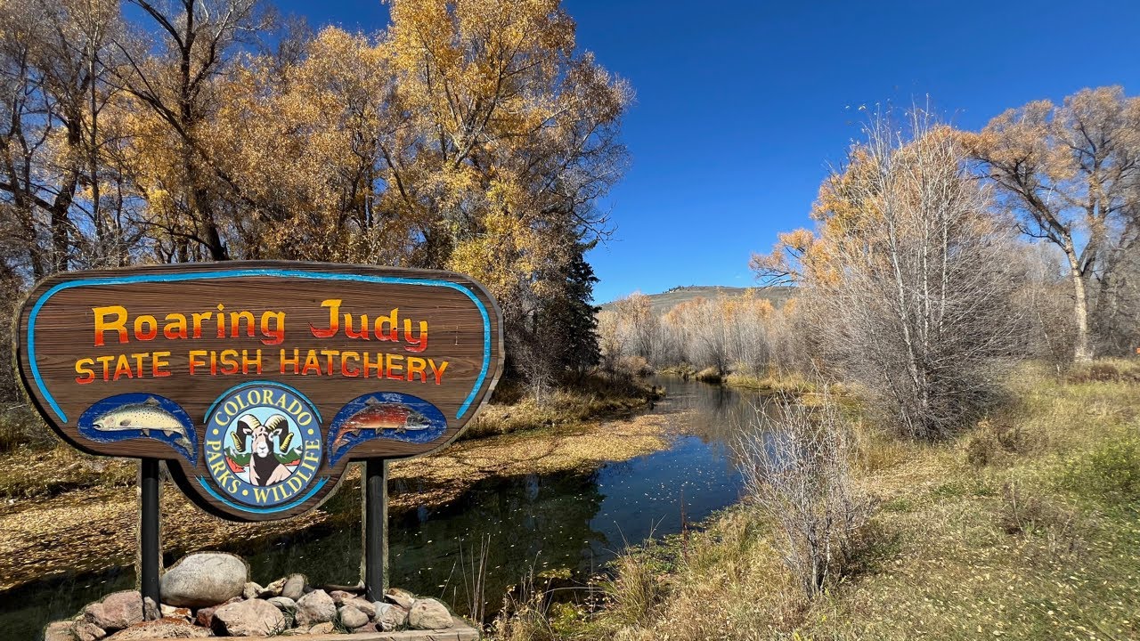 Visiting The Roaring Judy Fish Hatchery - YouTube