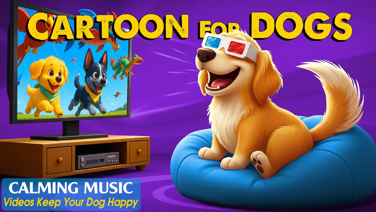 Dog Cartoon & Relaxing Music: Best Videos to Keep Your Dog Happy when ...