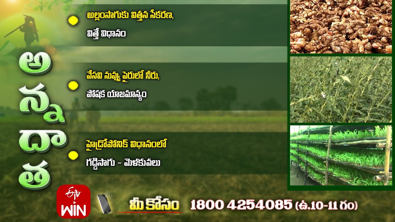 7th March 2025 | Annadata | అన్నదాత | Full Episode | ETV Telugu - YouTube