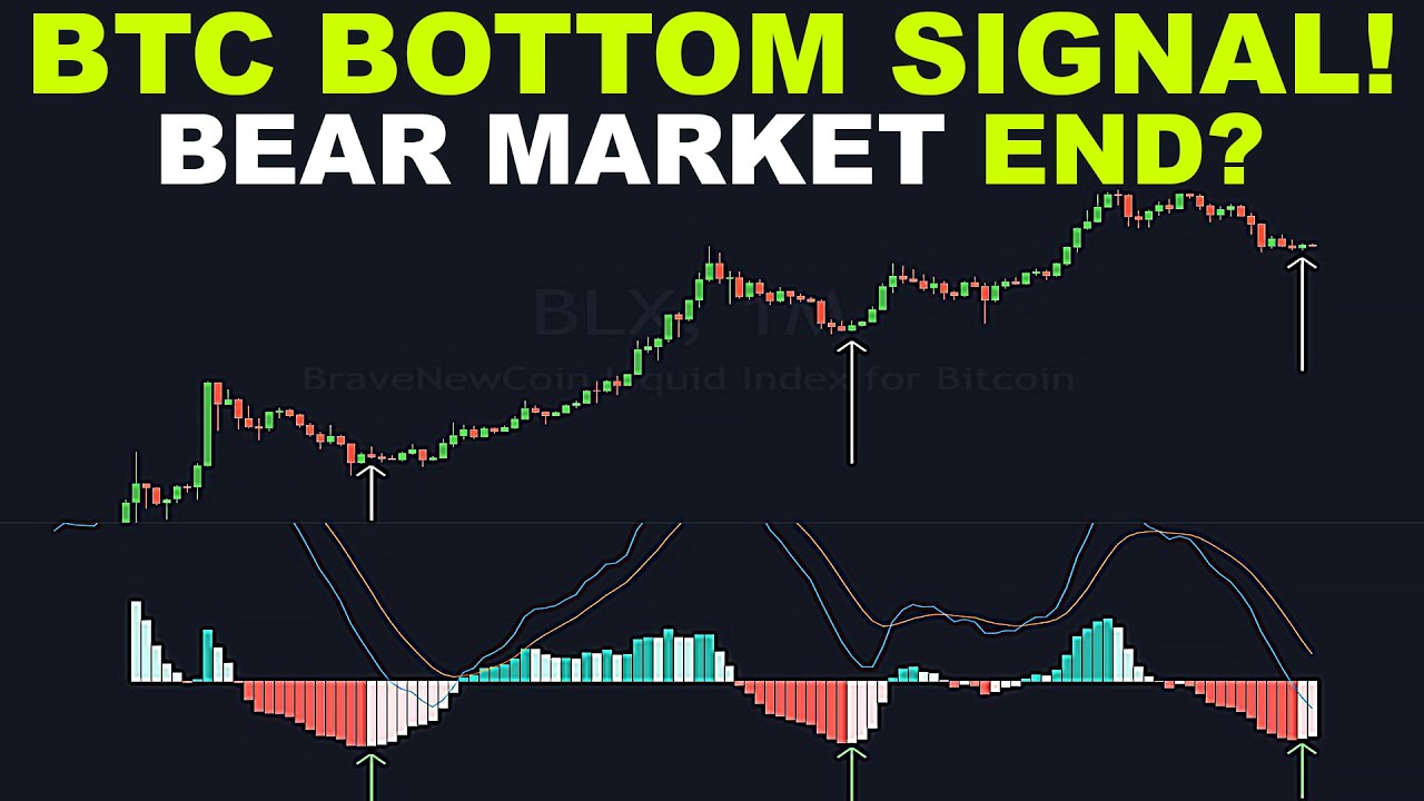 BTC BOTTOM SIGNAL | BTC UPDATE TODAY | BTC PRICE PREDICTION | BTC ...
