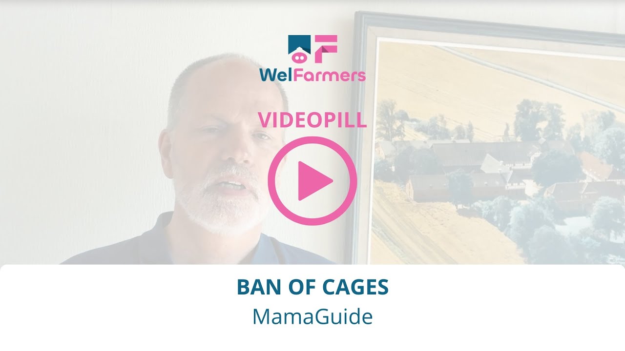 VIDEOPILL BAN OF CAGES: MamaGuide - YouTube
