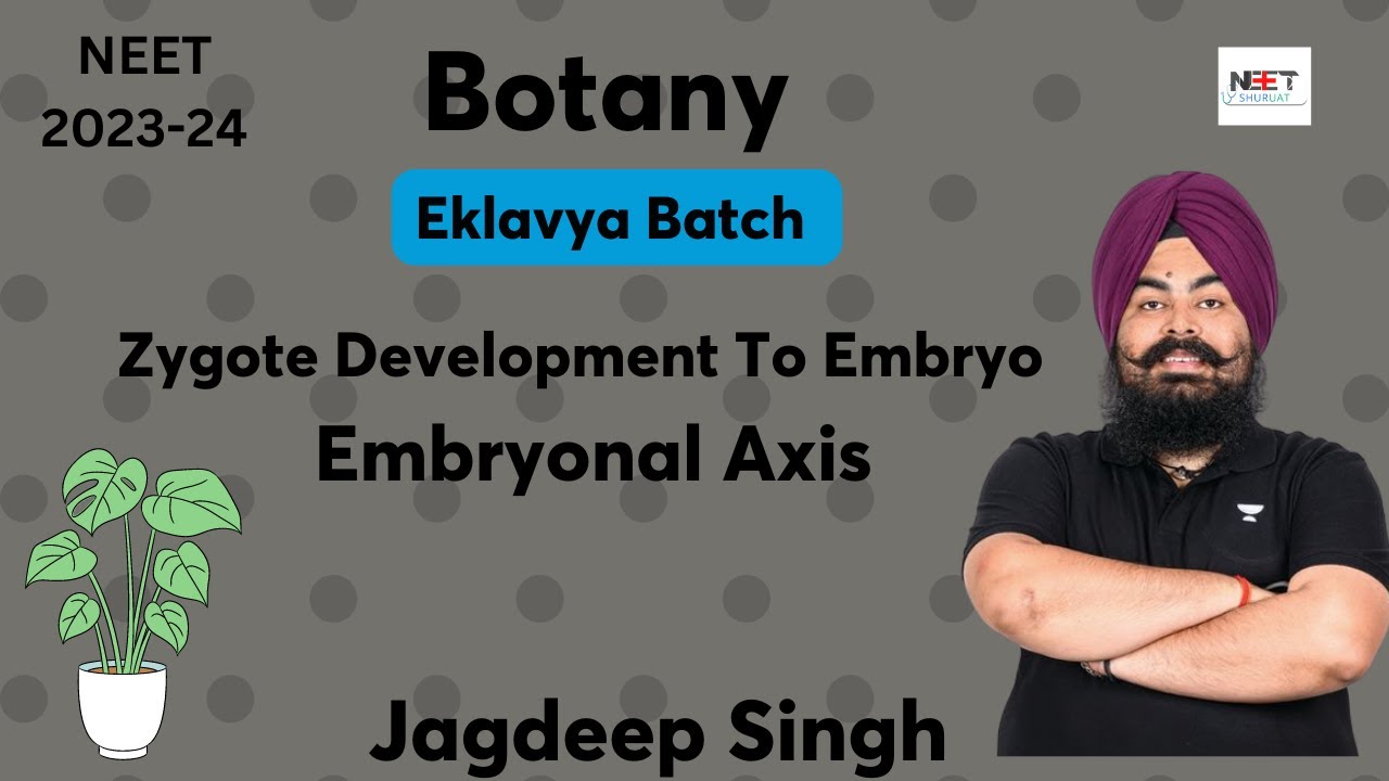 Zygote Development To Embryo | Embryonal Axis | Jagdeep Singh | Botany ...