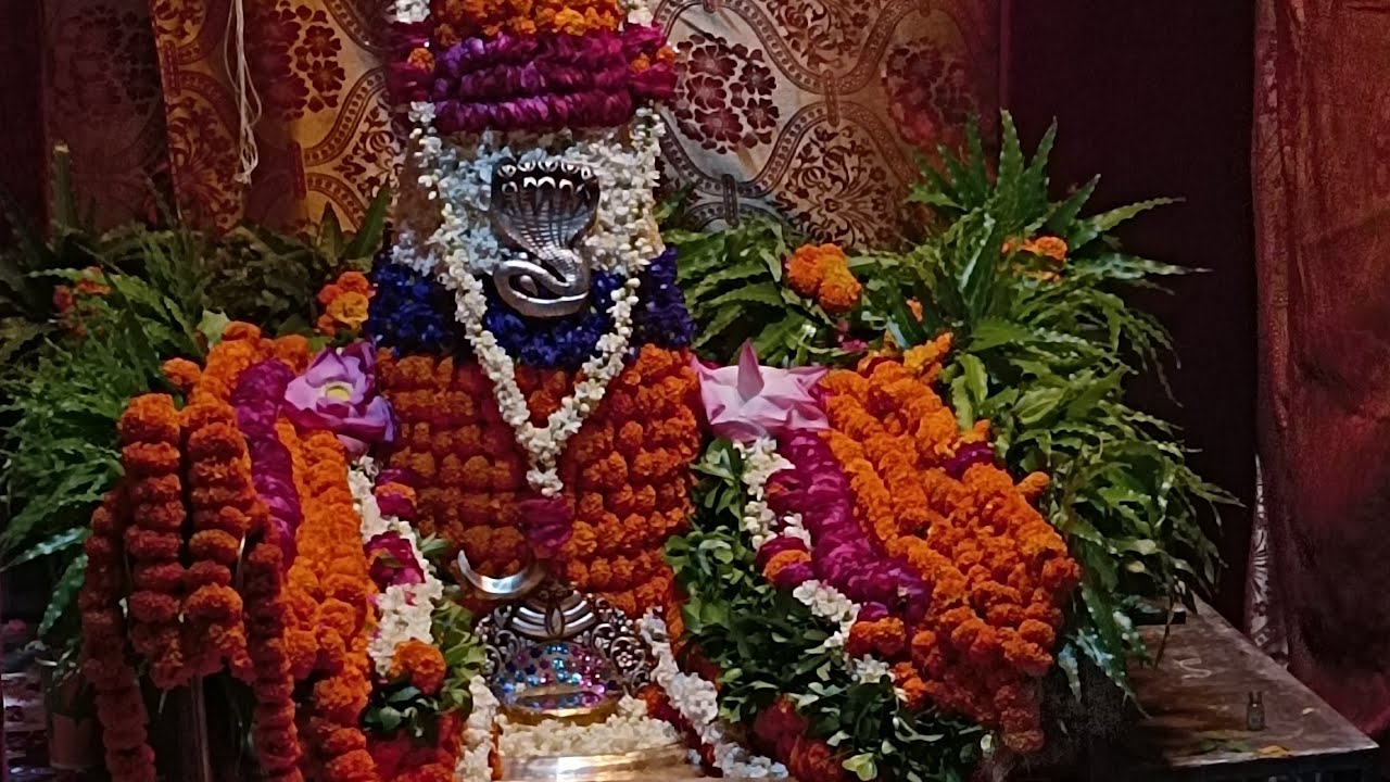 baba anandeshwar dham 16-05-23 #anandeshwar #bholenathmandir # ...