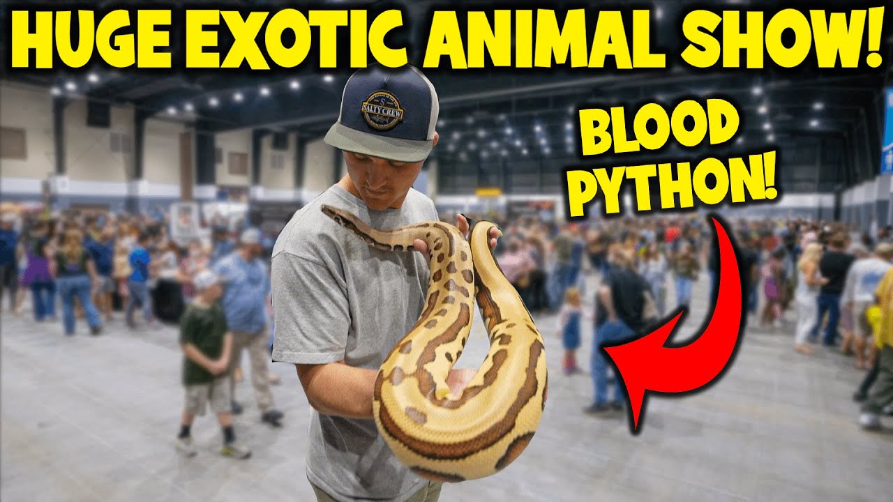 I Went To A HUGE EXOTIC ANIMAL EXPO YouTube i-went-to-a-huge-exotic-animal-expo-youtube