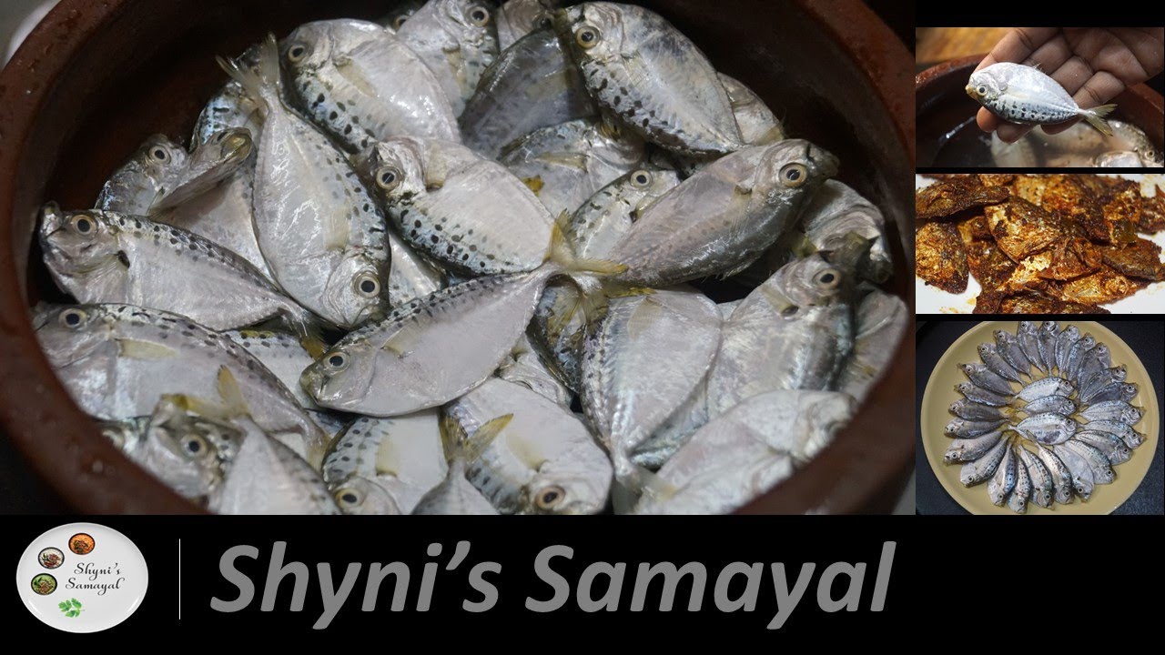 காரப்பொடி மீன் வறுவல் | Karapodi Fish Cleaning & Fry in Tamil | Silver ...