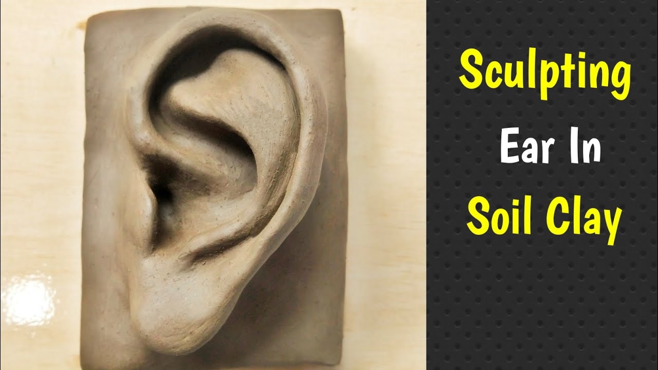 Sculpting Ear In Soil Clay | Easy Ear Clay Modeling - YouTube