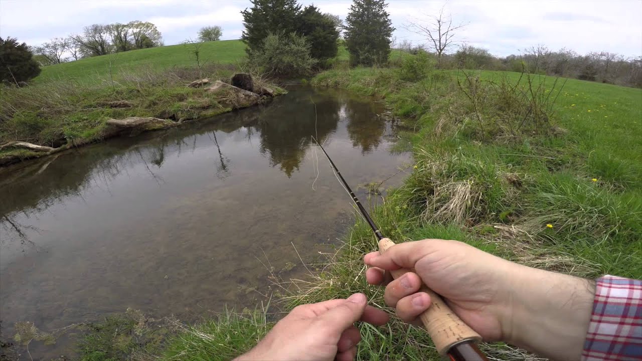 Washington DC fishing - YouTube