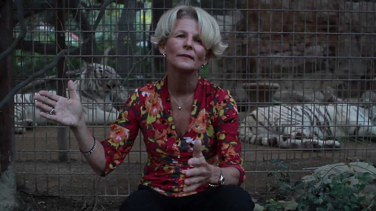 Competitive Greatness 24/7: Sue Enquist at TEDxIrvine - YouTube