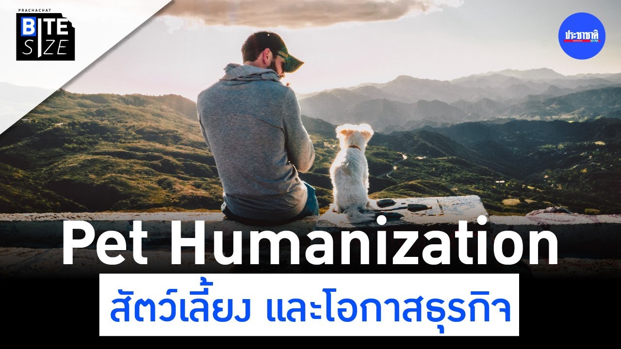 Pet Humanization เมกะเทรนด์ของธุรกิจ ในวันที่สัตวเลี้ยงคือสมาชิก ...