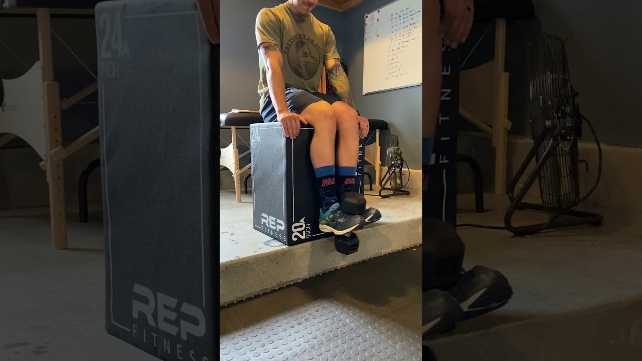 Dumbbell Seated Knee Extension - YouTube