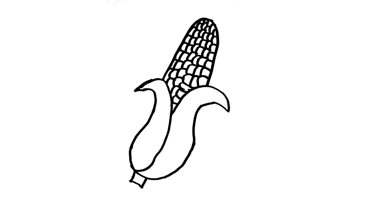 Corn Line Drawing