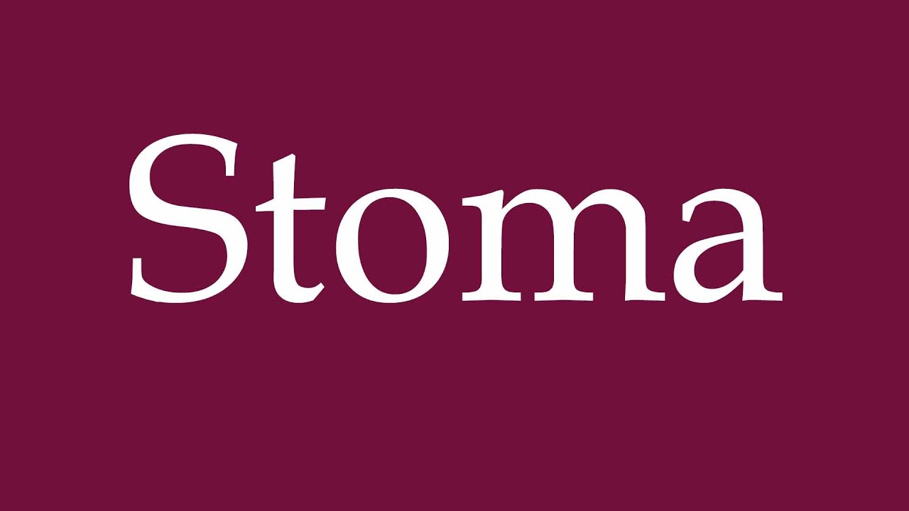 How to Pronounce ''Stoma'' Correctly in German - YouTube