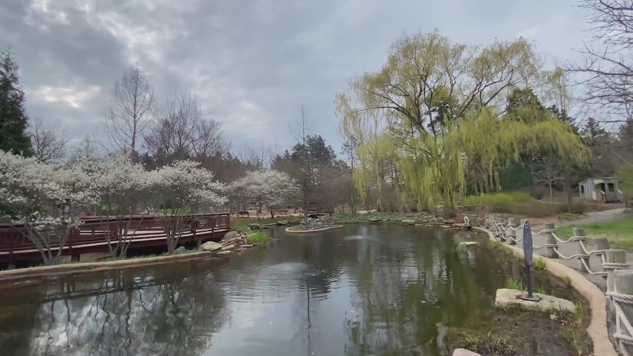 Spring bloom gets underway at Morton Arboretum - YouTube