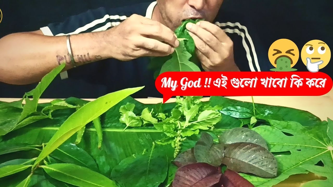 Leaves Of Various Plants Eating Show | Pata Eating Show | Tree Leaves ...
