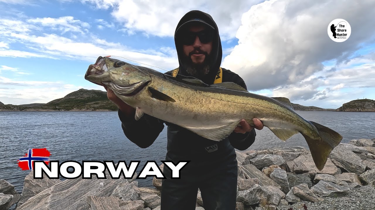 Sea Fishing Norway, The Shore Hunter & Friends 4K Drone Fishing - YouTube