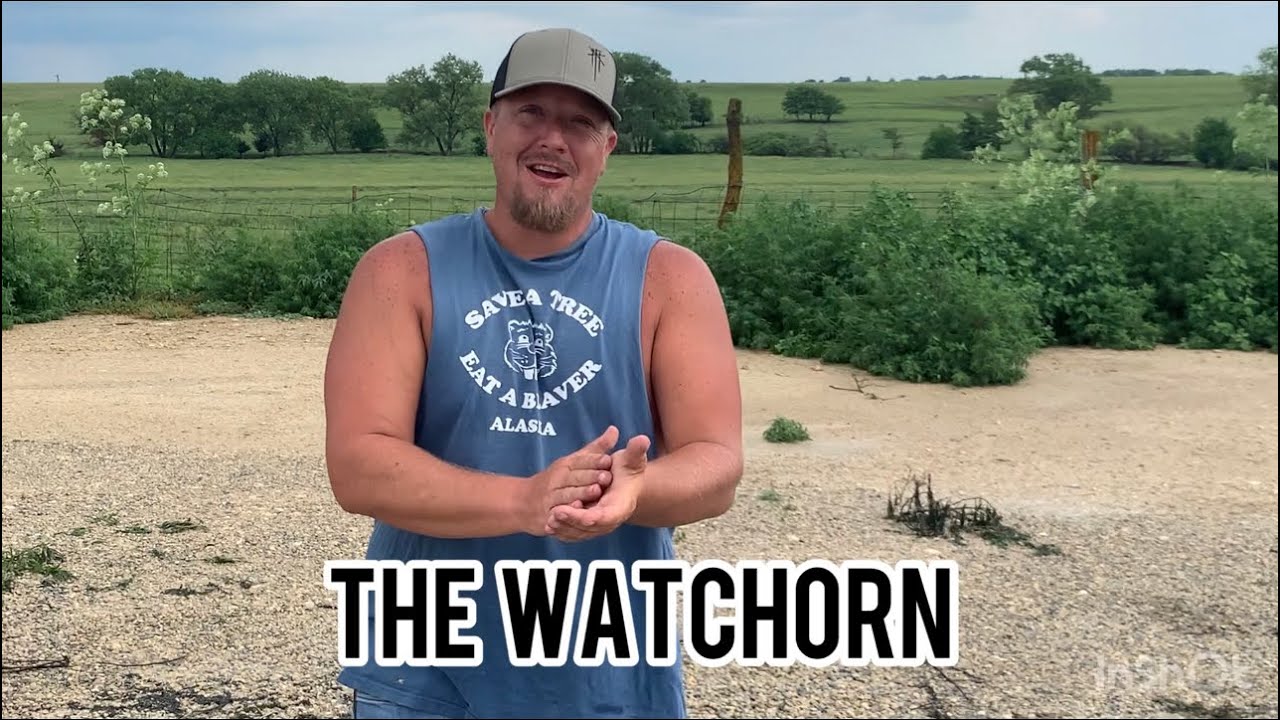 Larue Tactical C-Note vs Geissele’s Warner & Swasey MOA3 - YouTube