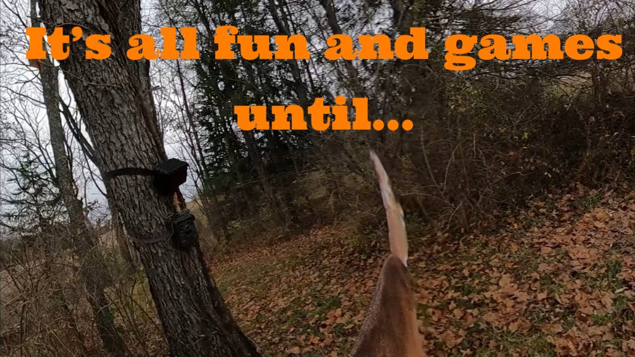 Deer hunting is all fun & games until… - YouTube