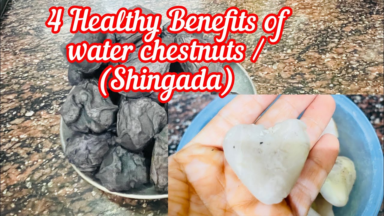 4 Health Benefits of WATER CHESTNUT | Shingada Nutrition Fact AND ...